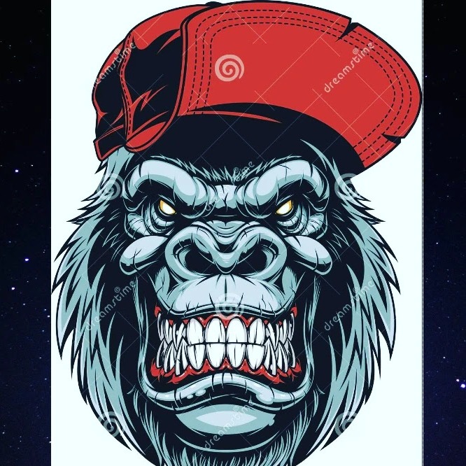 kingcap.jj, Loja Online | Shopee Brasil