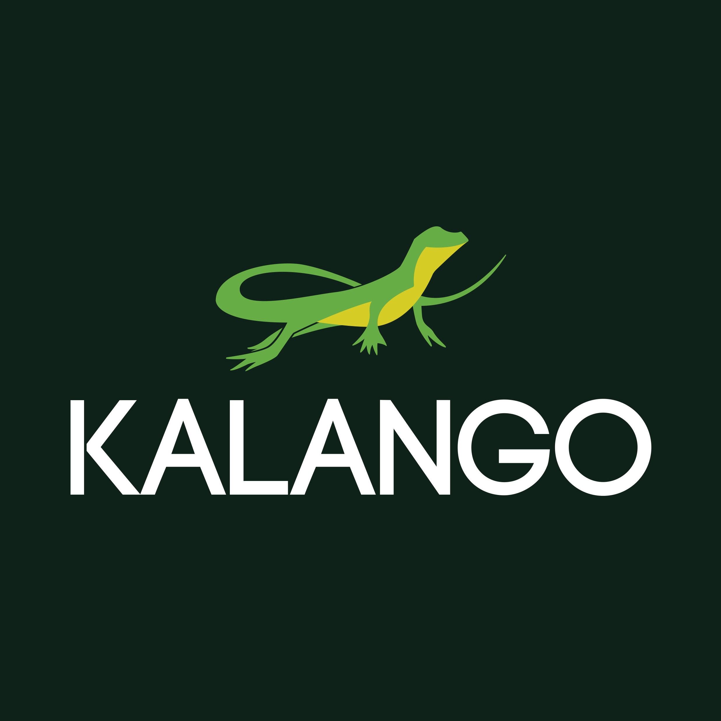 Loja do Kalango, Loja Online | Shopee Brasil
