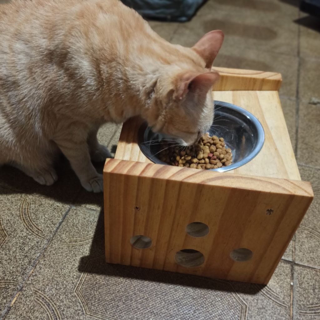 Artigos em MDF, Loja Online | Shopee Brasil