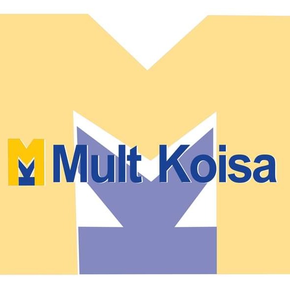 Mult Koisa Variedades em Utilidades, Loja Online | Shopee Brasil