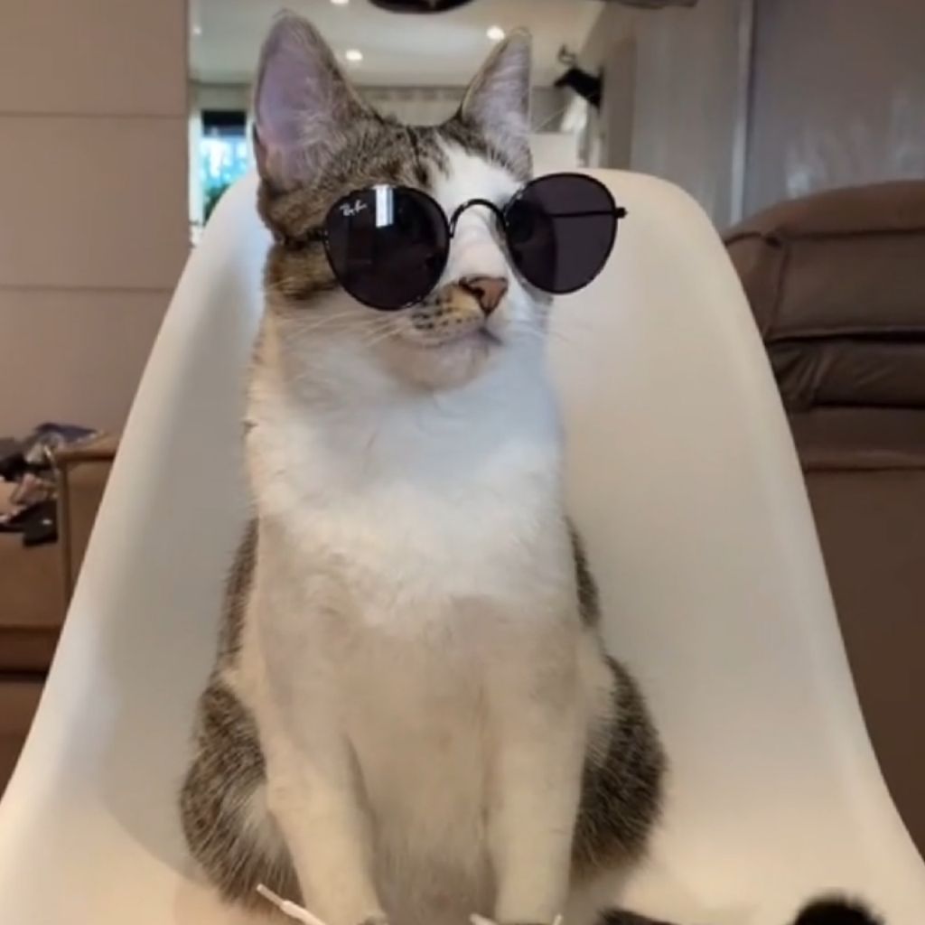 thome_alison, Loja Online | Shopee Brasil