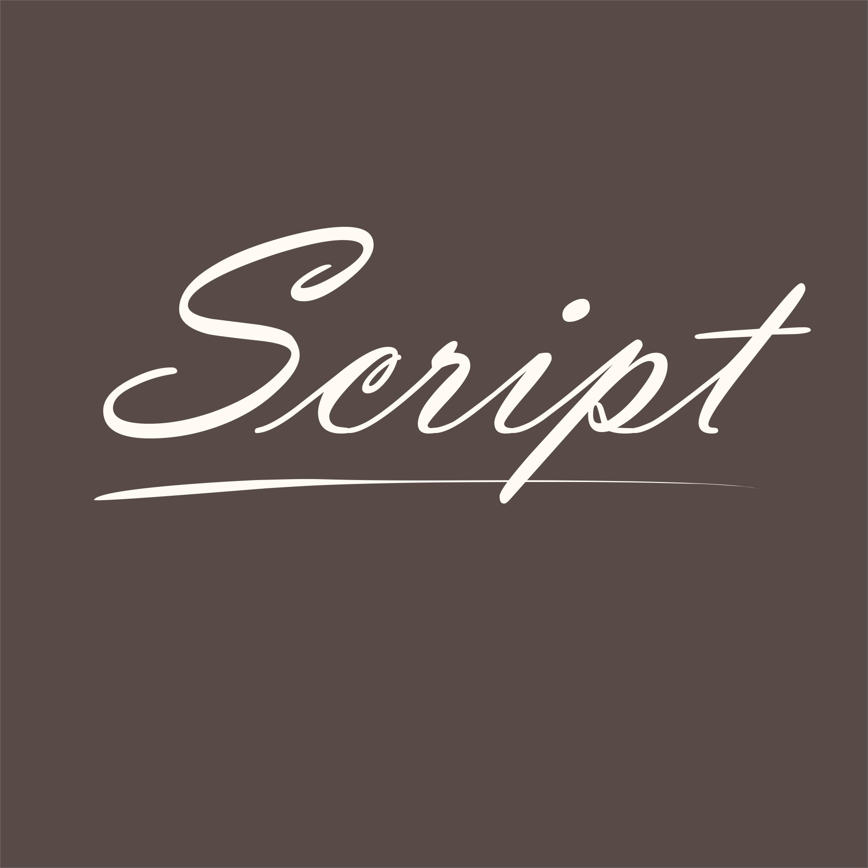 Script Clothing Store, Loja Online | Shopee Brasil