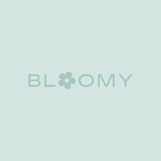 BLOOMY OFICIAL, Loja Online | Shopee Brasil