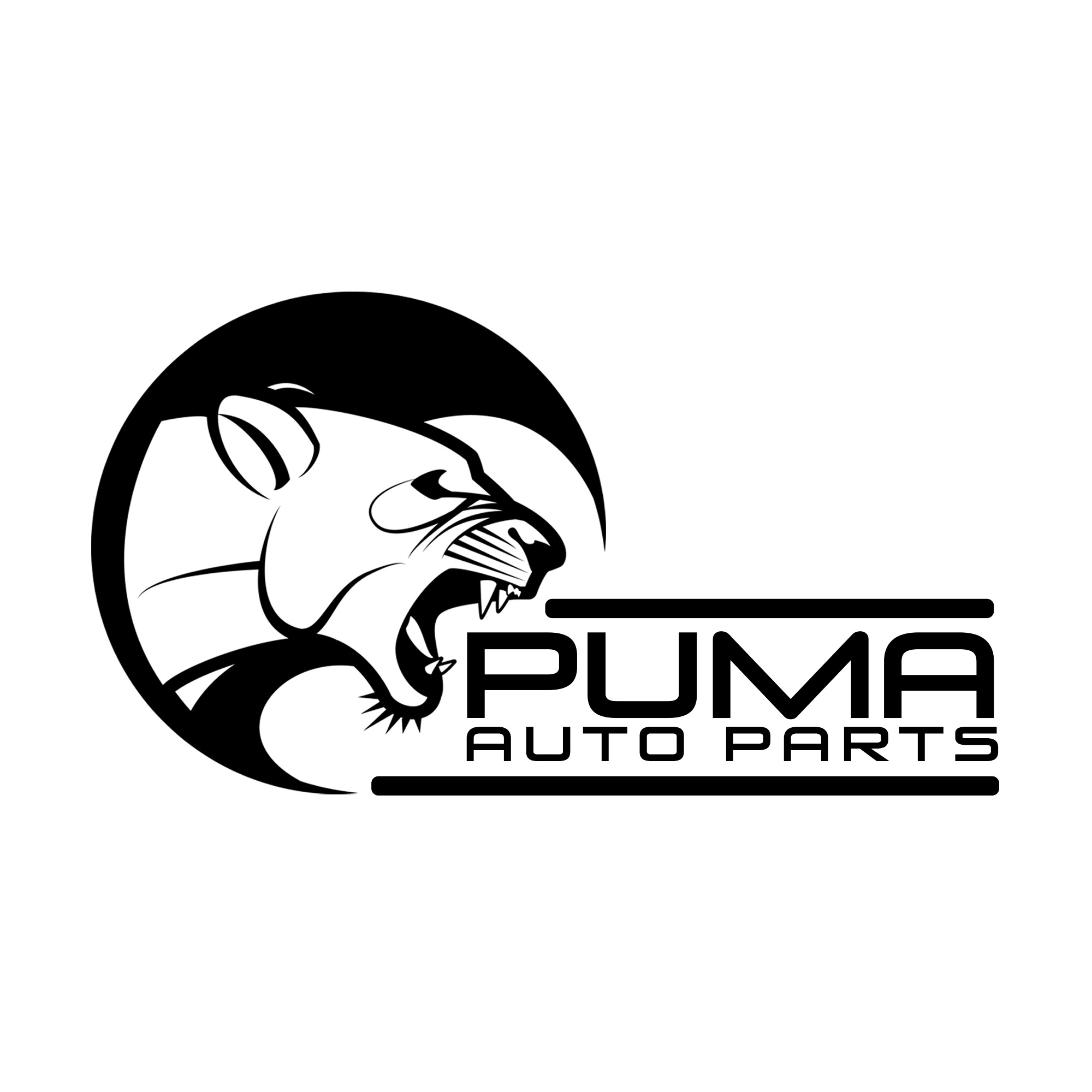 Pap Auto Parts, Loja Online | Shopee Brasil