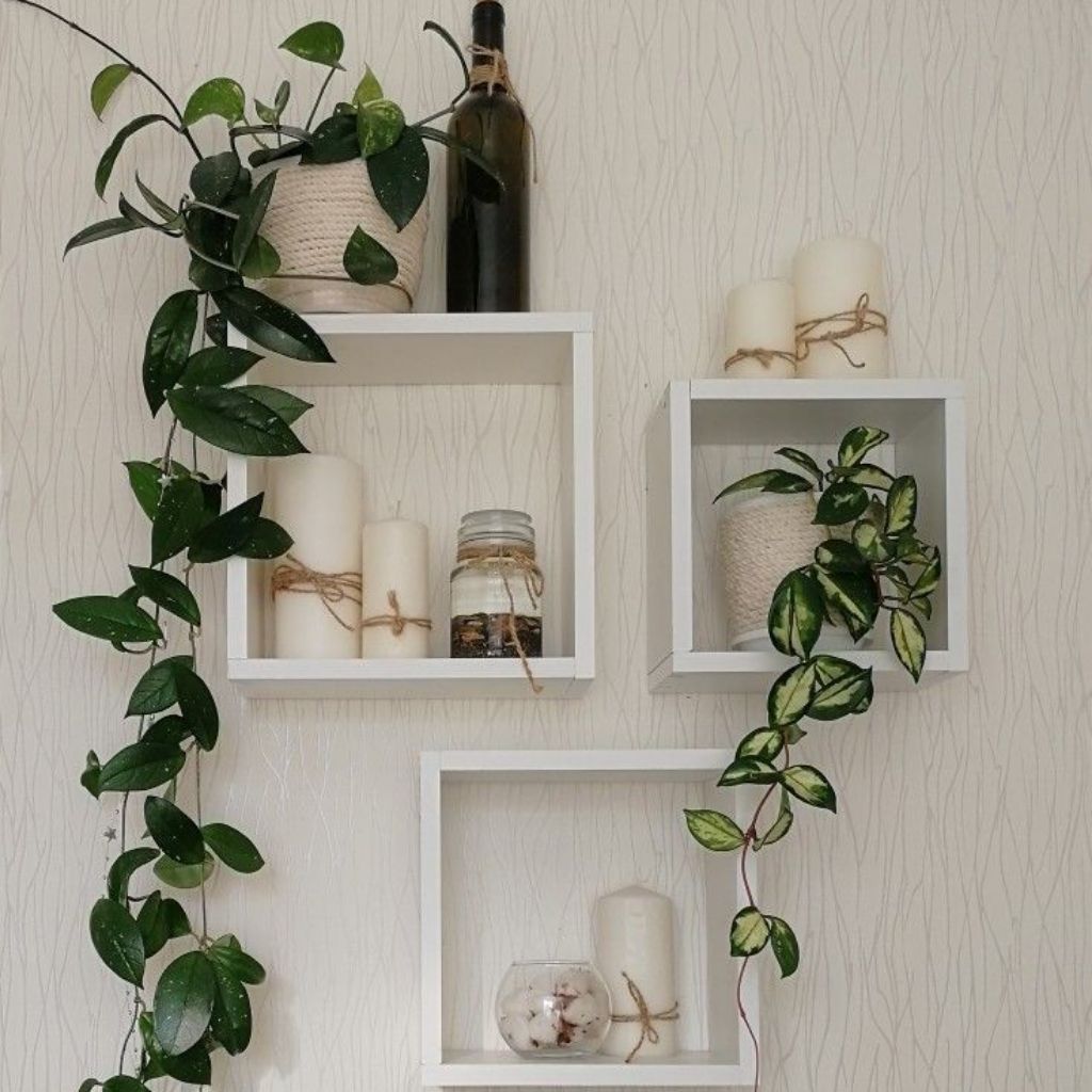 AKDK planejados, Loja Online | Shopee Brasil