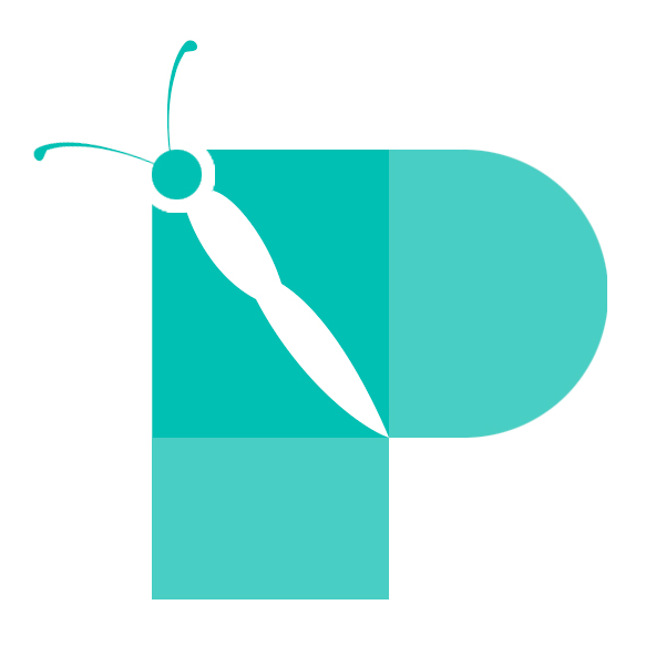 Poti Poti Festas, Loja Online | Shopee Brasil