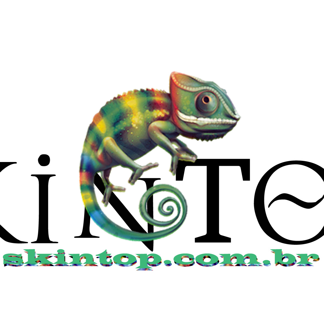 Skin_Top, Loja Online | Shopee Brasil