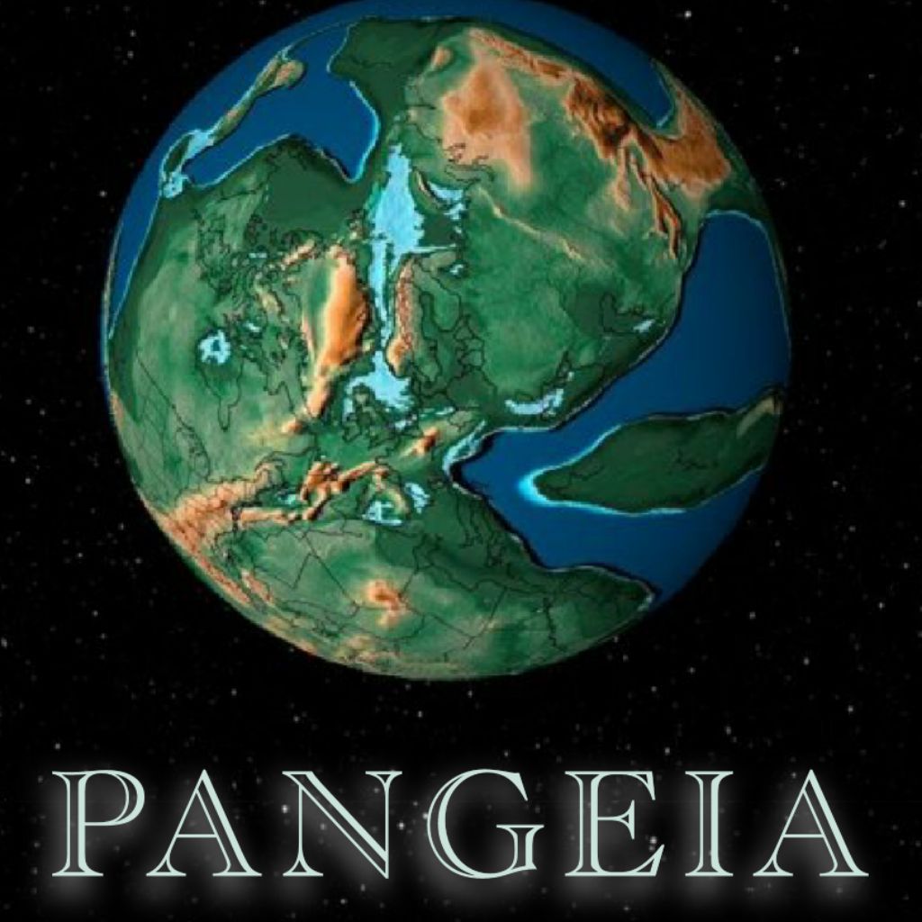 Pangeia Quadrod, Loja Online | Shopee Brasil