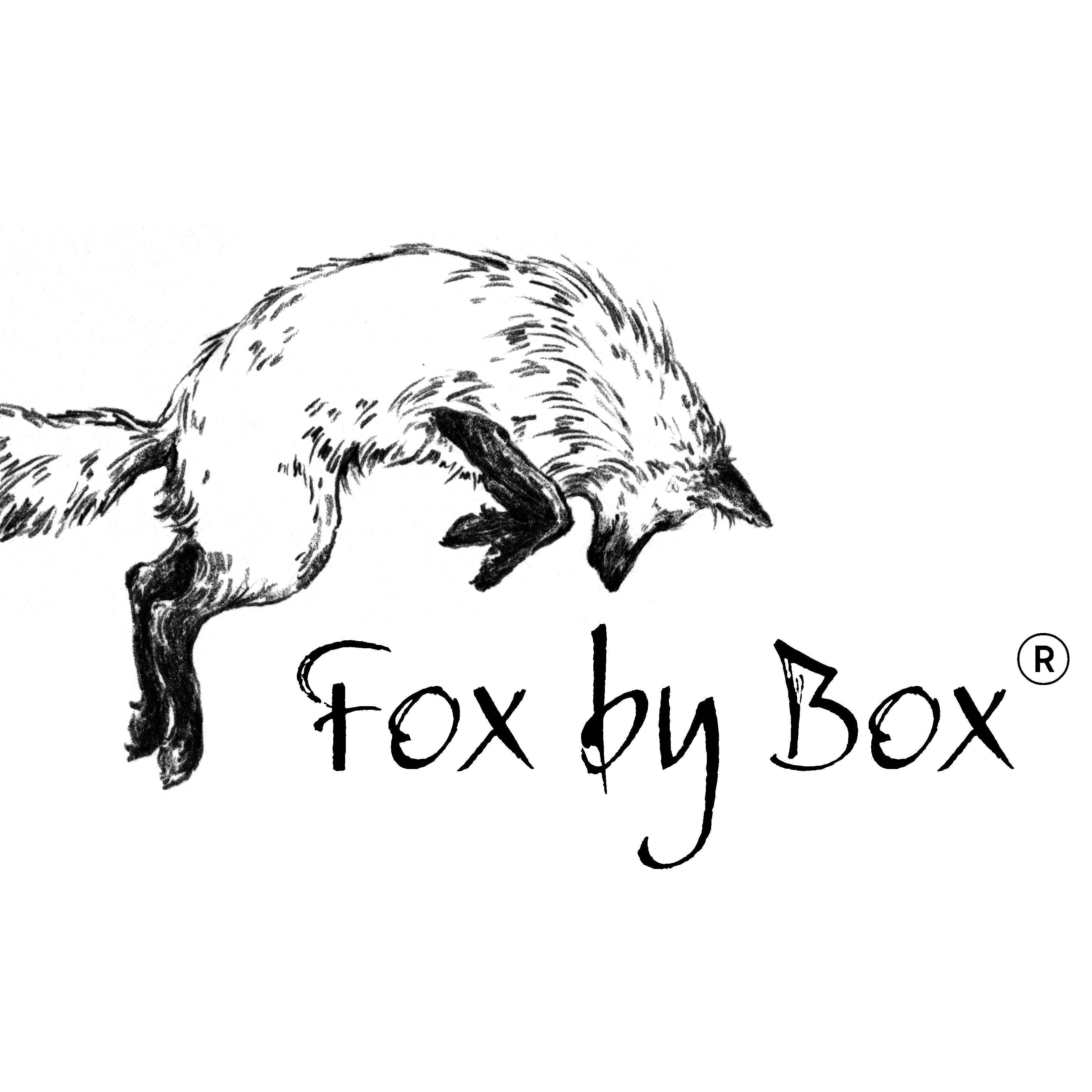 Fox By Box, Loja Online | Shopee Brasil