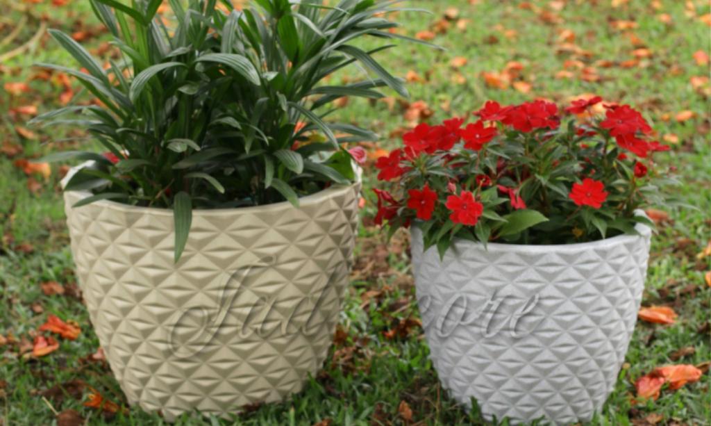 Jadecore, Loja Online | Shopee Brasil