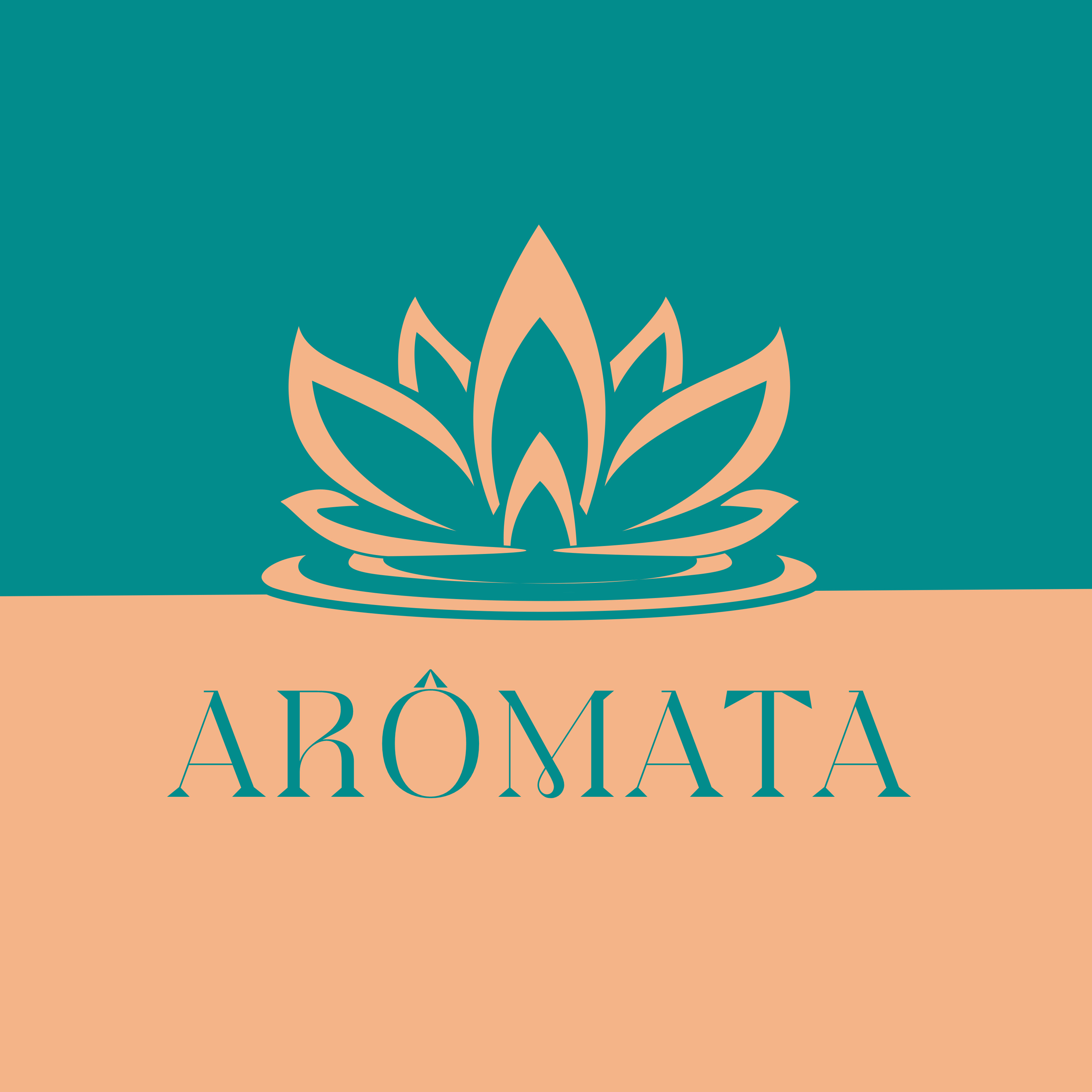 Arômata, Loja Online | Shopee Brasil