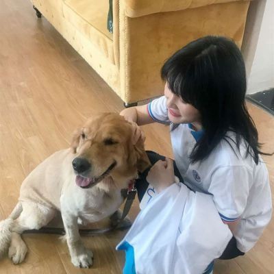 zhanglina.br, Loja Online | Shopee Brasil