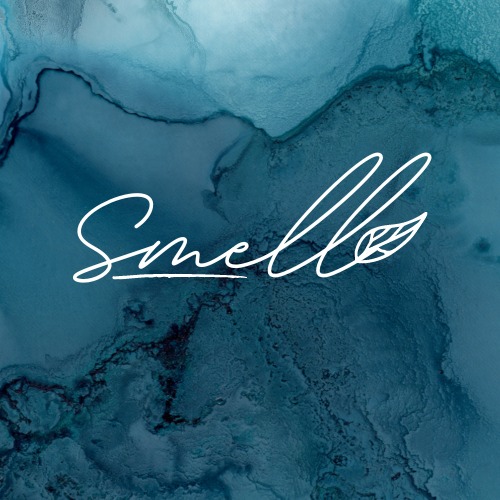 Smell Oficial, Loja Online | Shopee Brasil