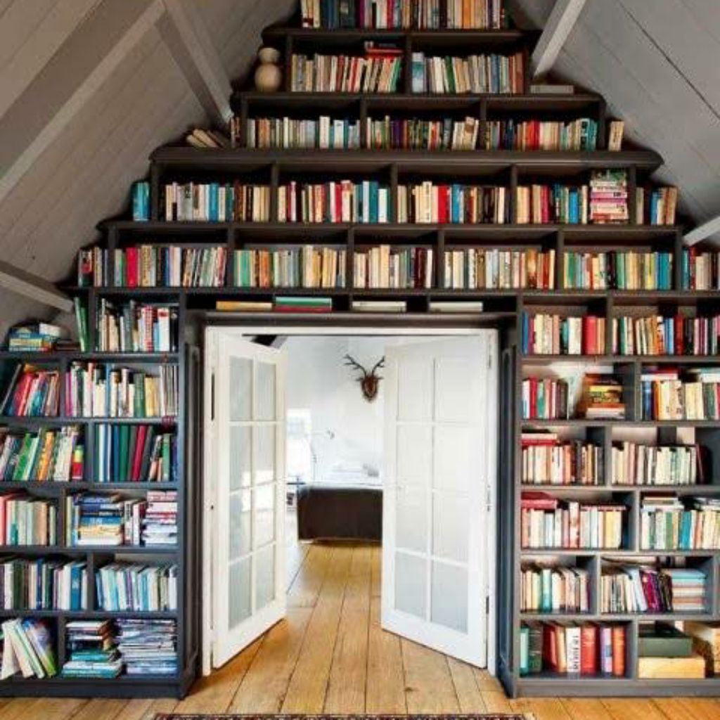 Casa dos fundos, Loja Online | Shopee Brasil