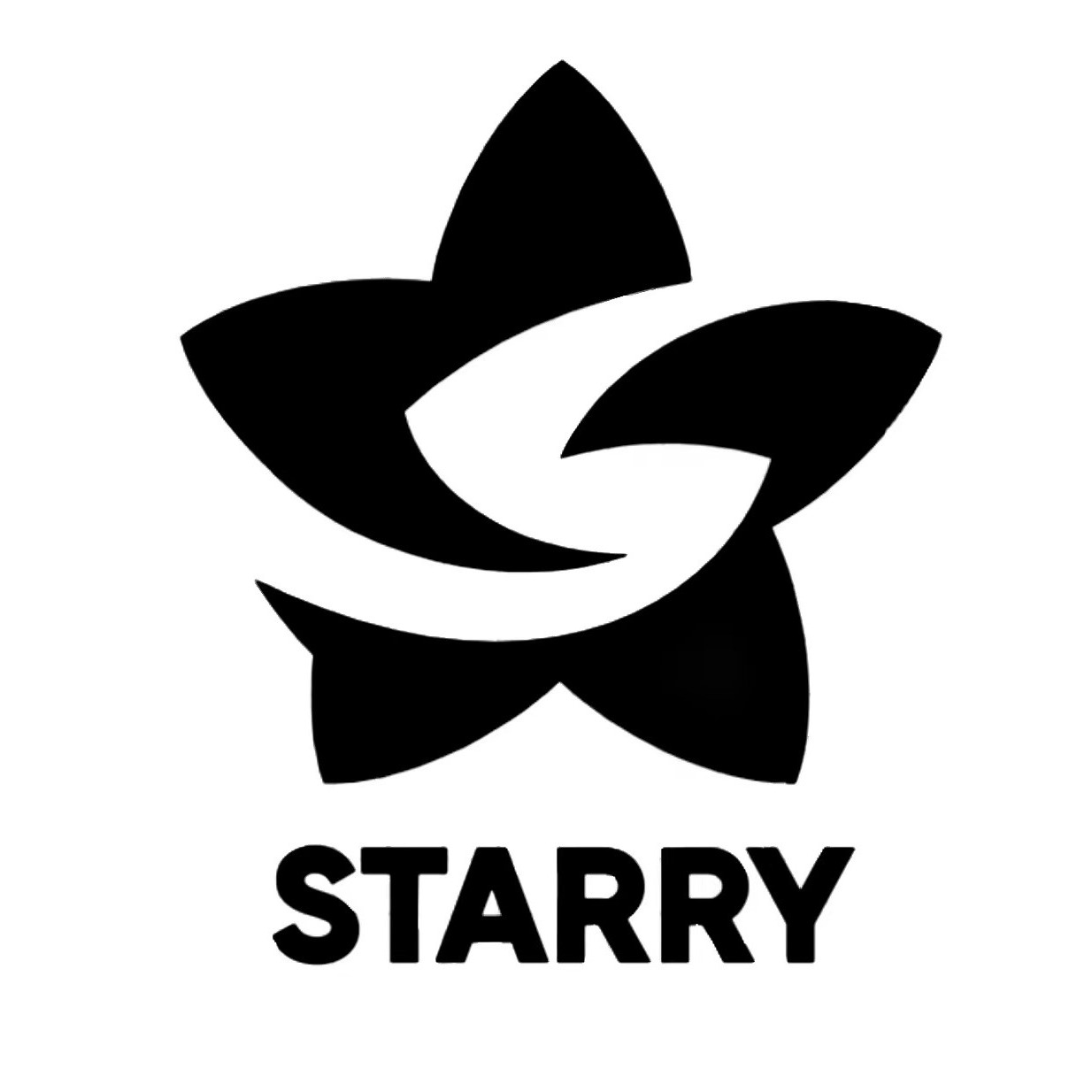 starry atacado, Loja Online | Shopee Brasil
