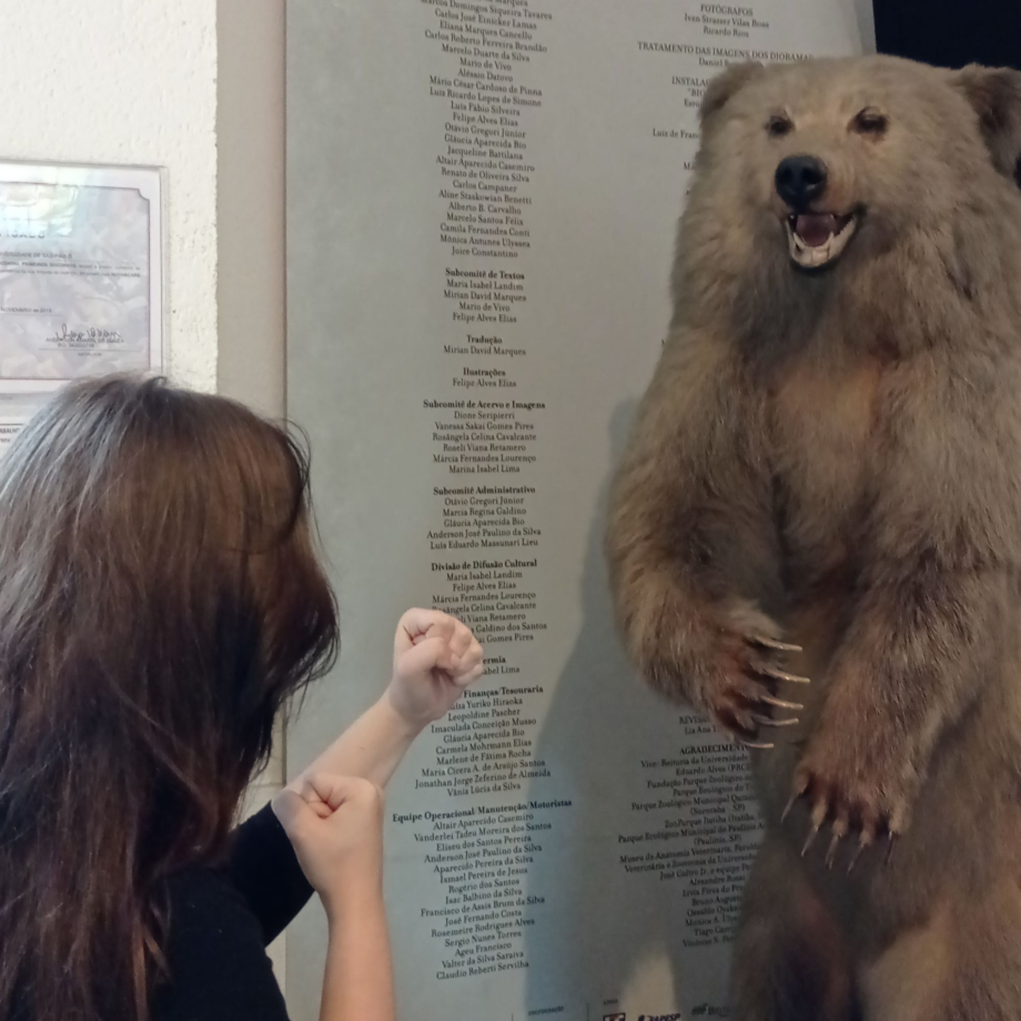 RGBee, Loja Online | Shopee Brasil