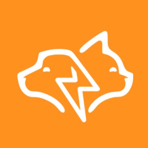 Doug Pet Muriaé, Loja Online | Shopee Brasil