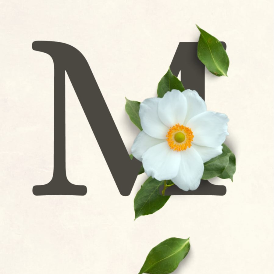 Miss Flor, Loja Online | Shopee Brasil