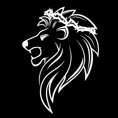 Daily Fight 2, Loja Online | Shopee Brasil