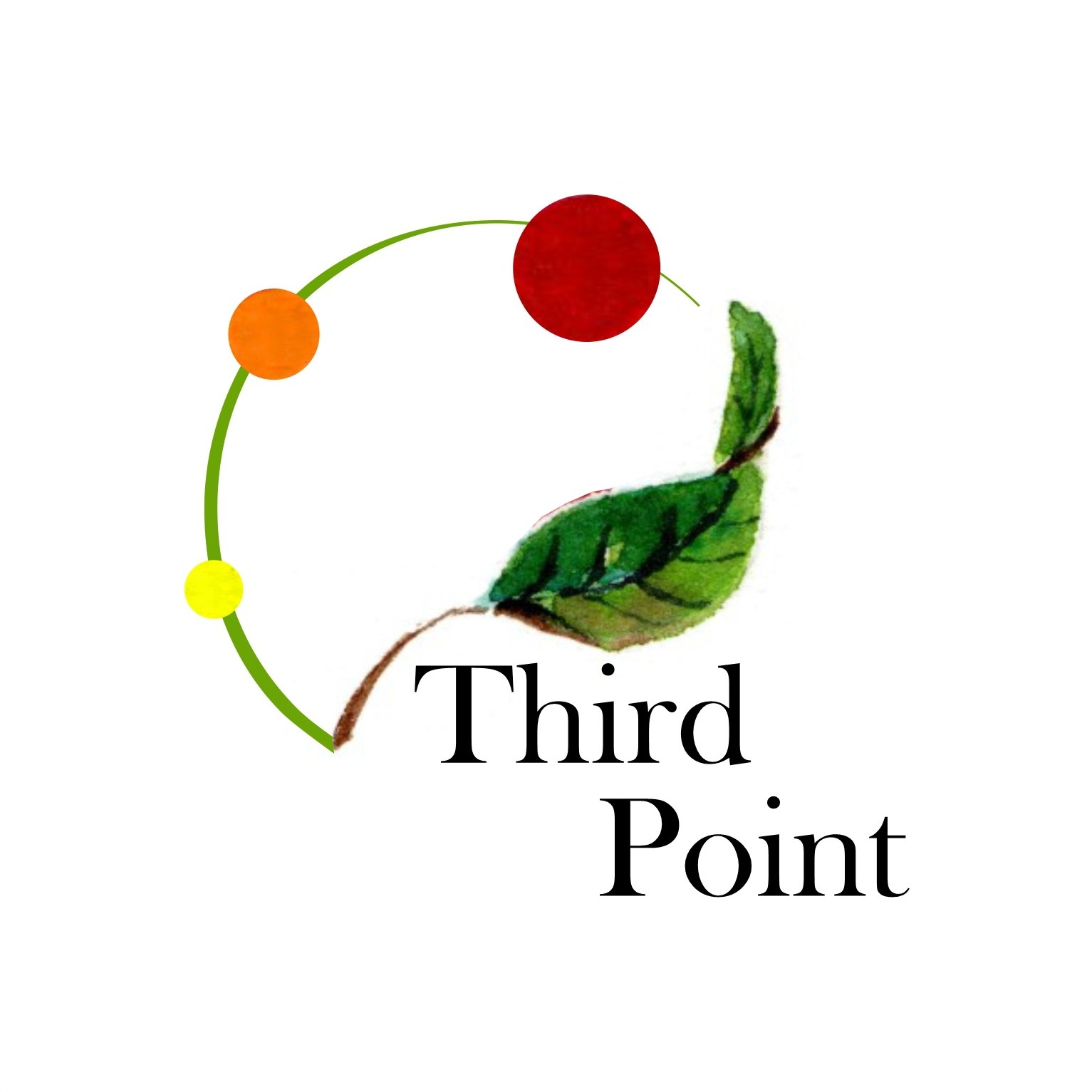 Third Point, Loja Online | Shopee Brasil