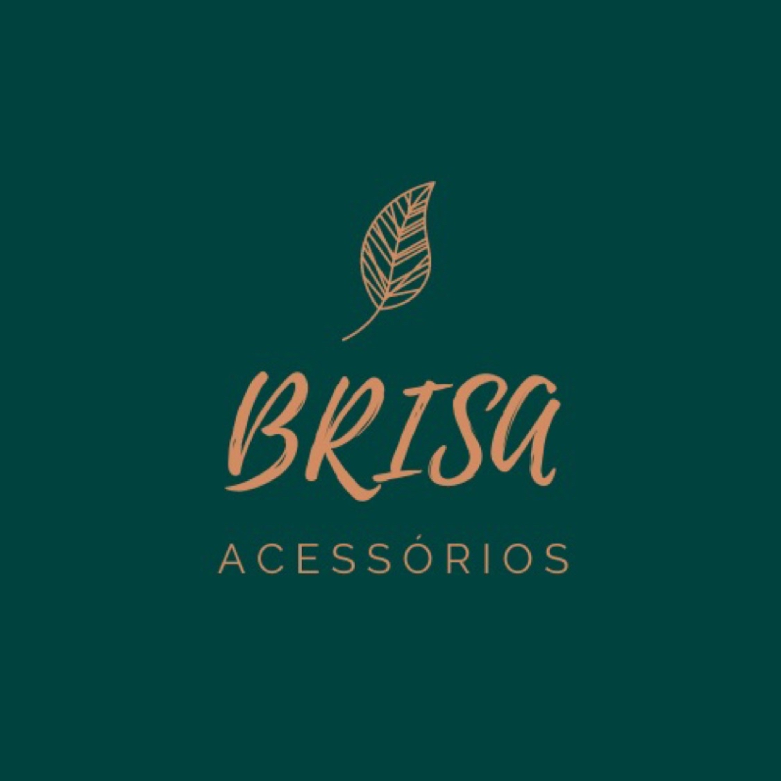 Loja Brisa Acessórios, Loja Online | Shopee Brasil