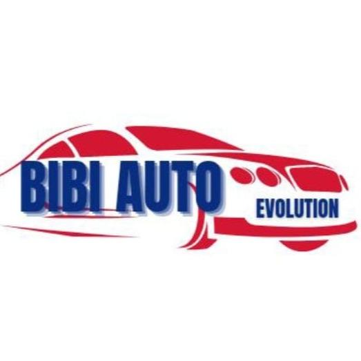 BIBI AUTO EVOLUTION, Loja Online | Shopee Brasil