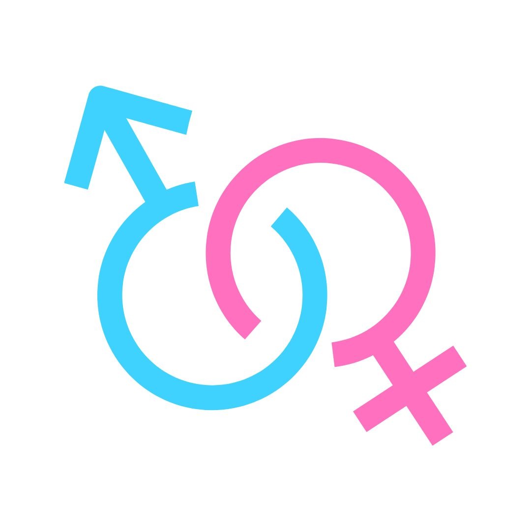 ELE ELA LINGERIE, Loja Online | Shopee Brasil