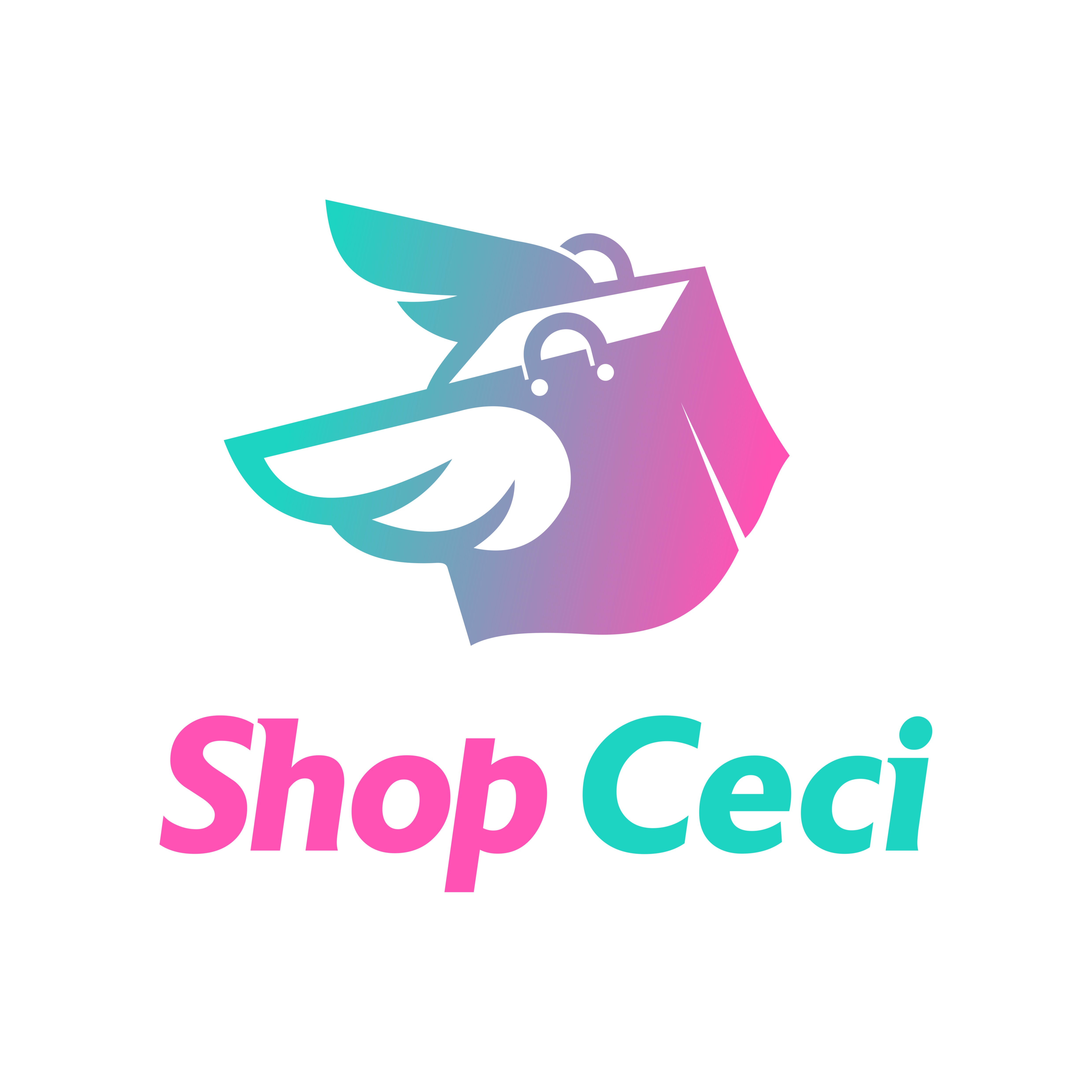 SHOPCECI, Loja Online | Shopee Brasil