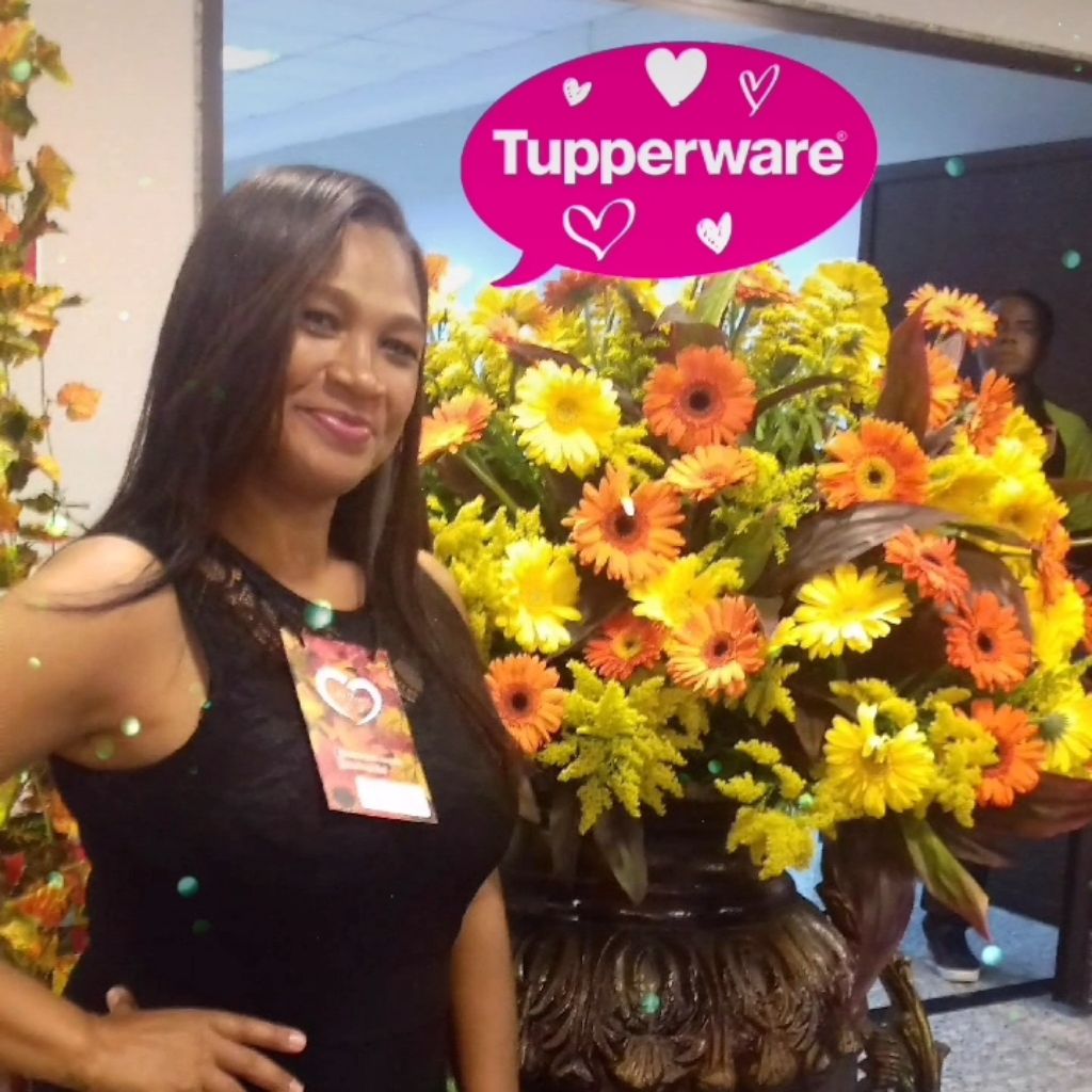 Simone Tupperware ltda., Loja Online | Shopee Brasil