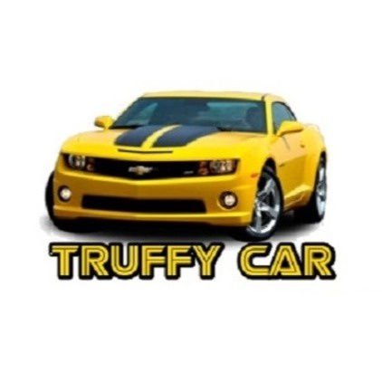 TRUFFY CAR, Loja Online | Shopee Brasil
