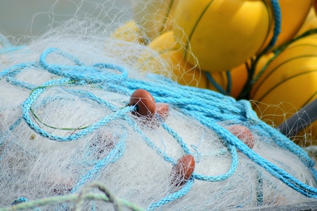 bom preço fishing, Loja Online | Shopee Brasil