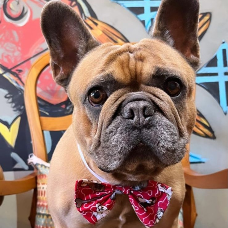 Mapax vendas, Loja Online | Shopee Brasil