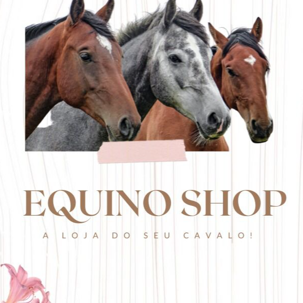 EQUINO SHOP, Loja Online | Shopee Brasil