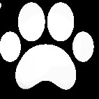 TONYPET OFICIAL, Loja Online | Shopee Brasil