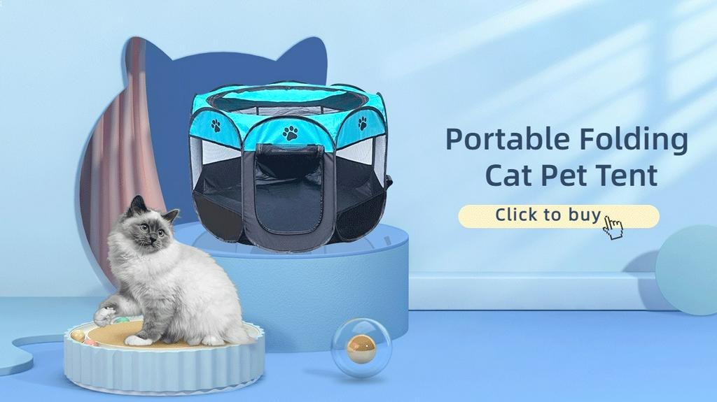 pet city, Loja Online | Shopee Brasil