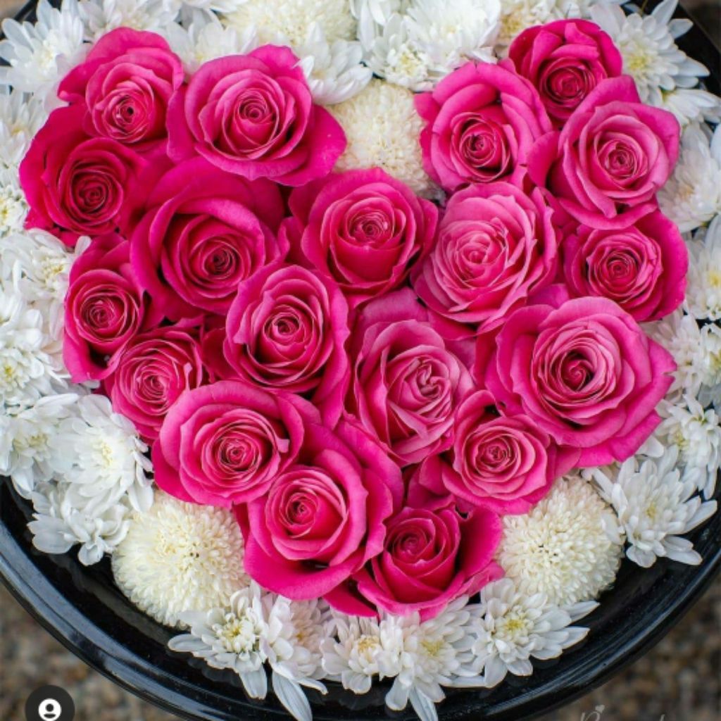 J&J Modas, Loja Online | Shopee Brasil