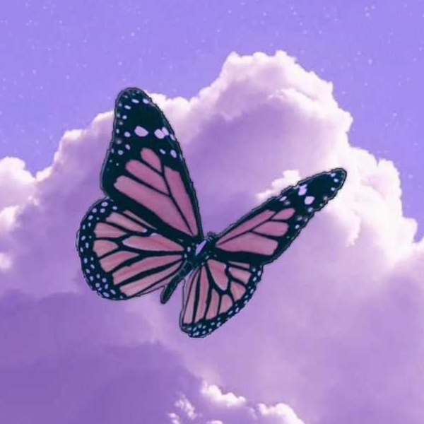 luna shen, Loja Online | Shopee Brasil