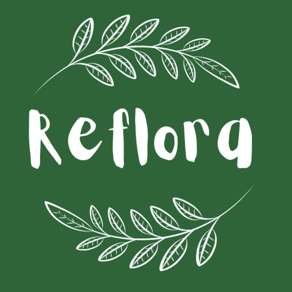 Com Amor Reflora, Loja Online | Shopee Brasil