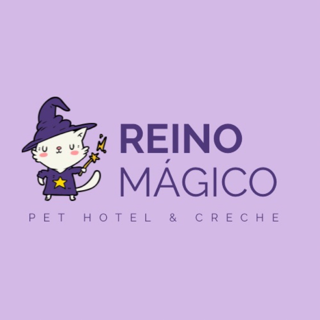 Reino Mágico Pet, Loja Online | Shopee Brasil