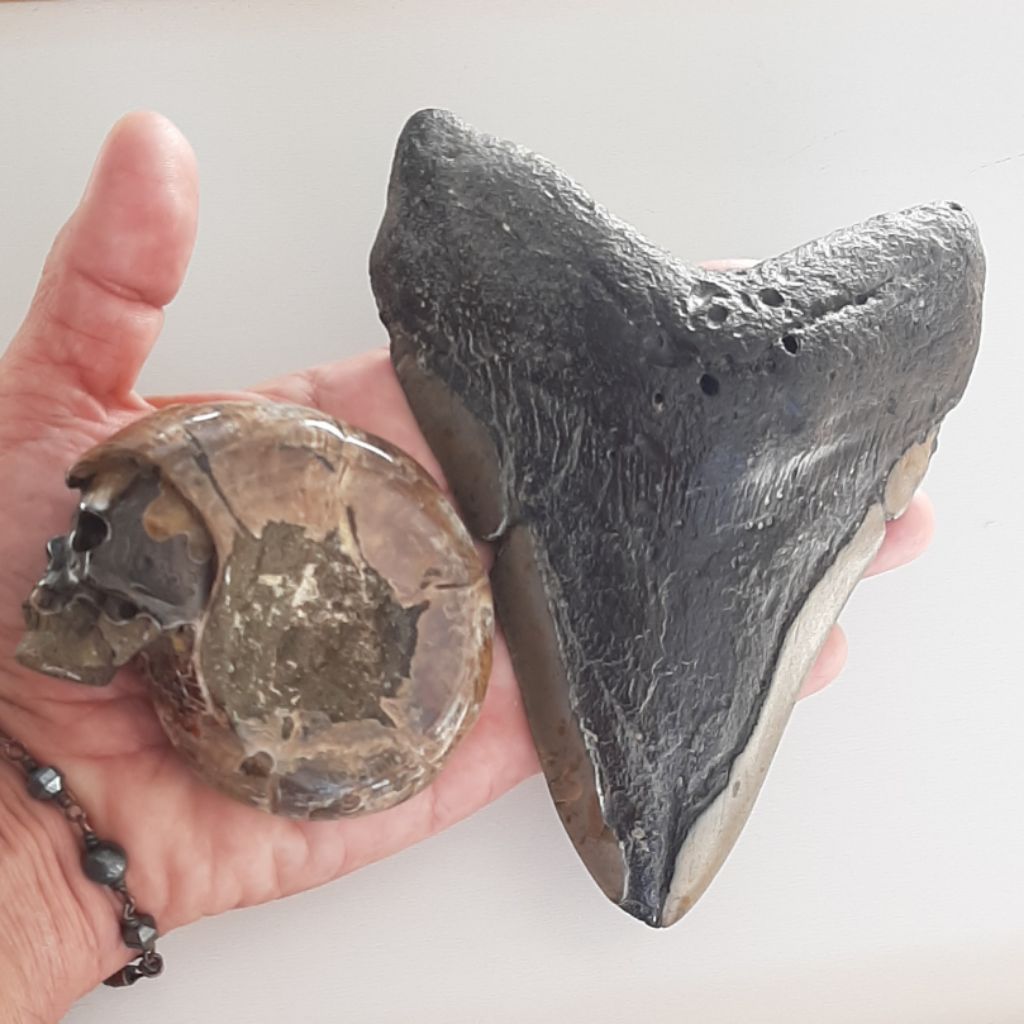 Shimi antiquário, Loja Online | Shopee Brasil