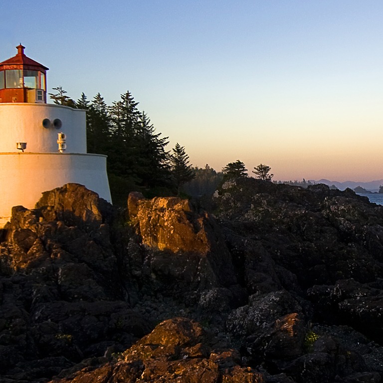 Edvander Faria, Loja Online | Shopee Brasil