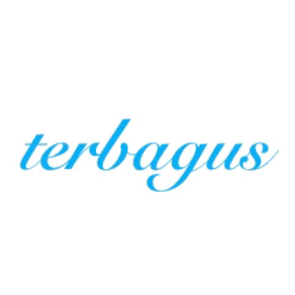 terbagus.indonesia.br, Loja Online | Shopee Brasil