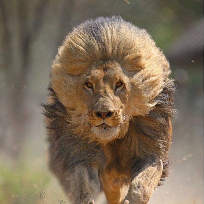 onlytec, Loja Online | Shopee Brasil