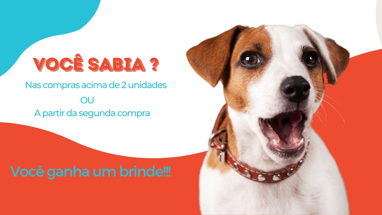 Loja Pet Lore, Loja Online | Shopee Brasil
