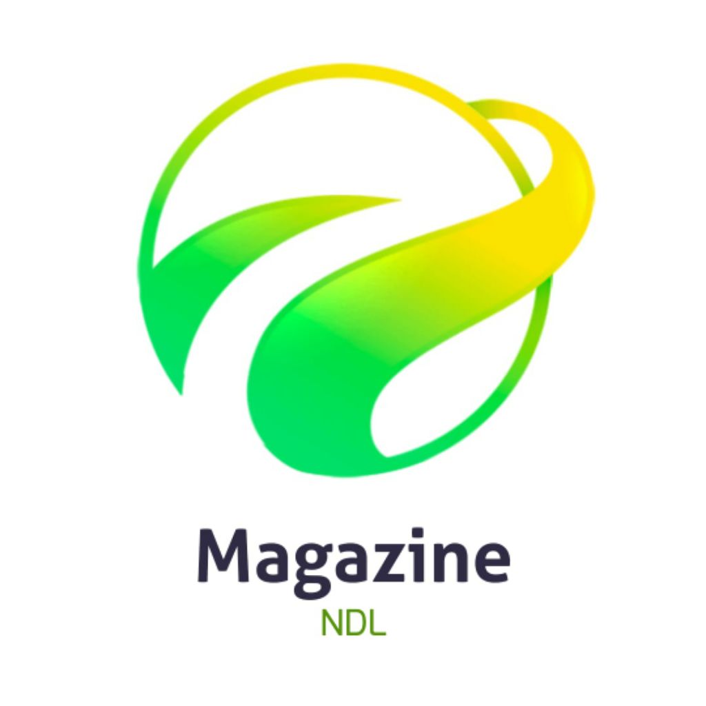 Magazine NDL, Loja Online | Shopee Brasil