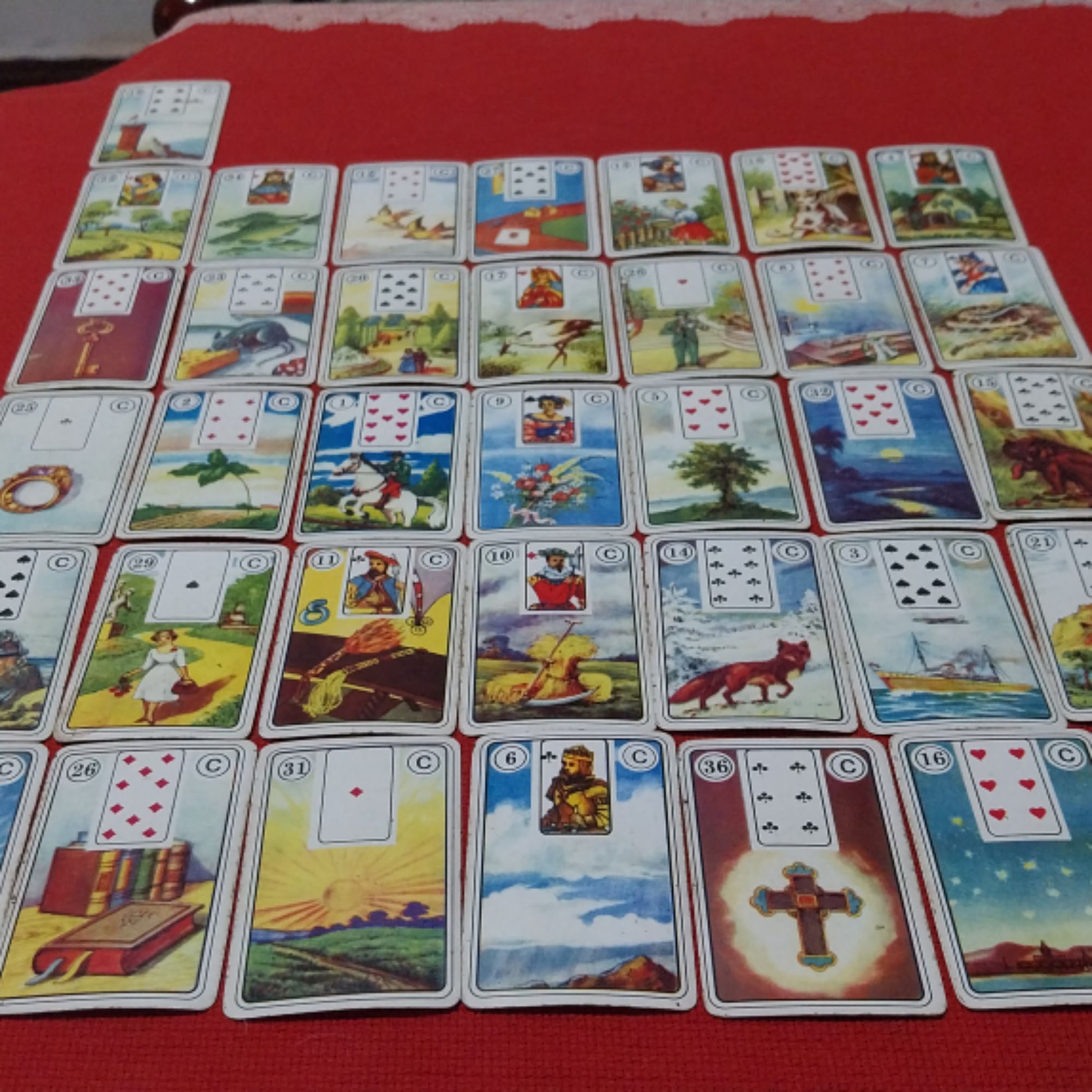 JM Cartomancia, Loja Online | Shopee Brasil