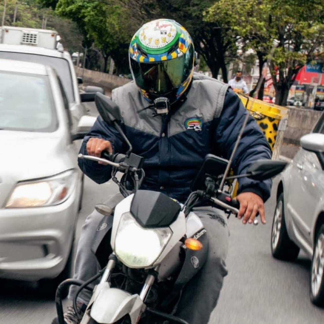 motokacachorro, Loja Online | Shopee Brasil