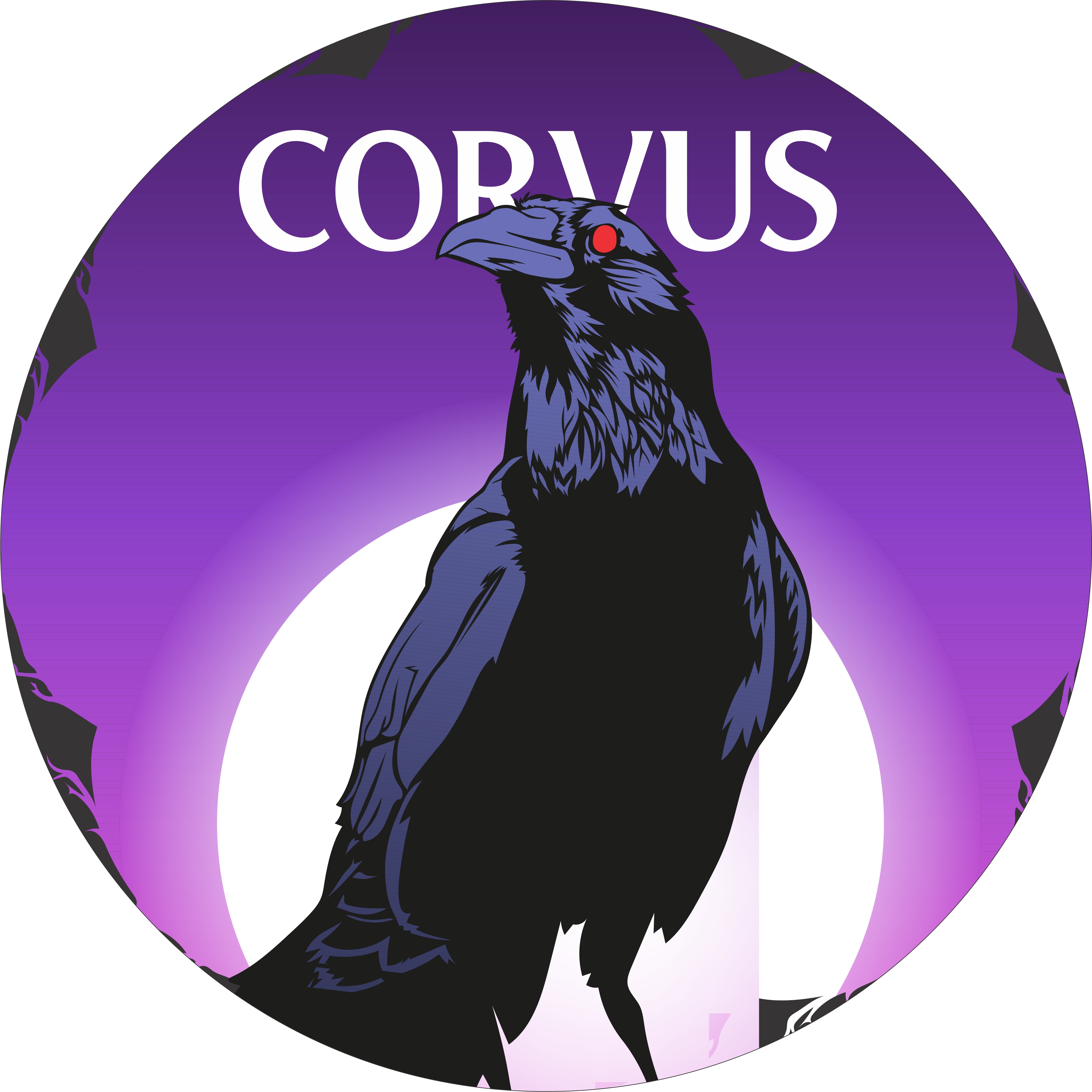 Corvus_Store, Loja Online | Shopee Brasil
