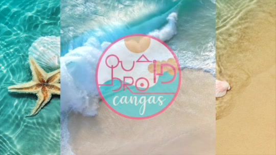 Quadroid, Loja Online | Shopee Brasil