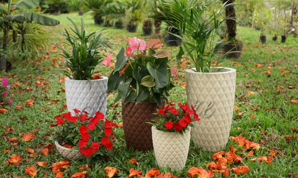 Jadecore, Loja Online | Shopee Brasil